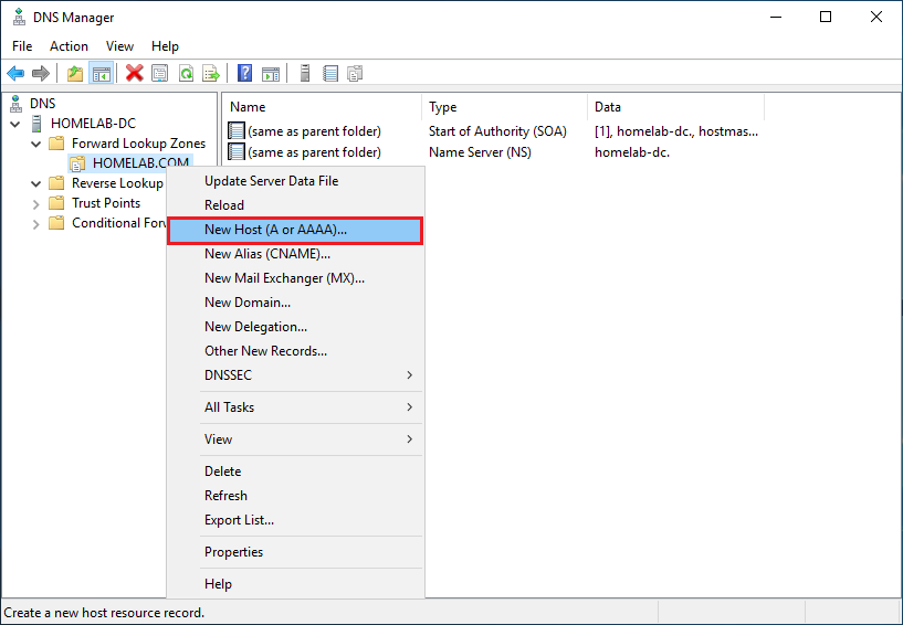 Step-by-step Guide to creating a DNS Server on Windows Server 2019 - LabMice Documentation